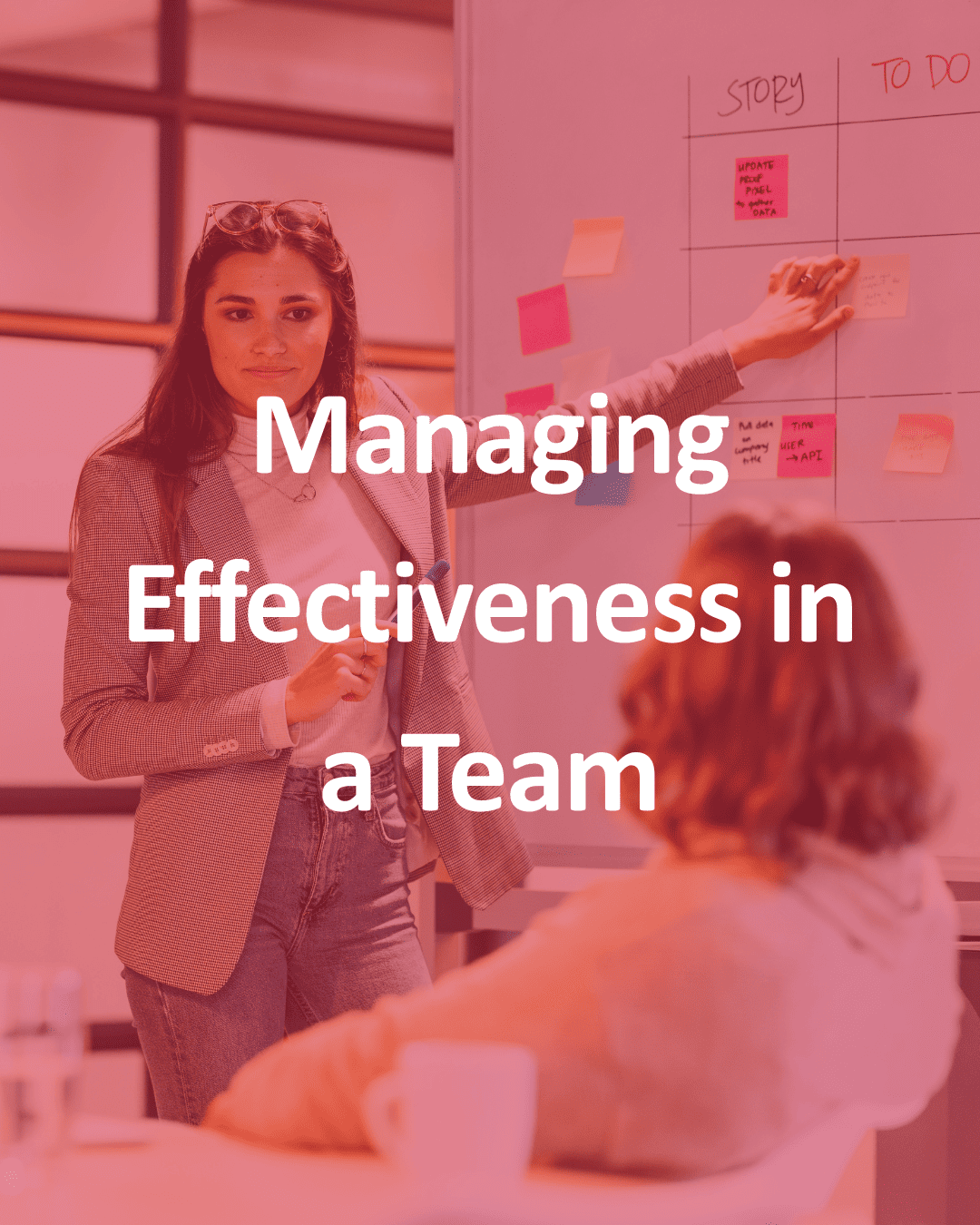 Management Development and Consultancy | MDIS